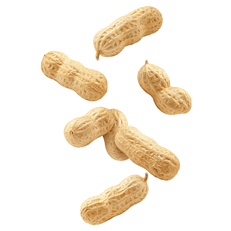 PB Vanilla Ice Cream Macro Shake Meal Replacement (560g Bag) – Macro Mike